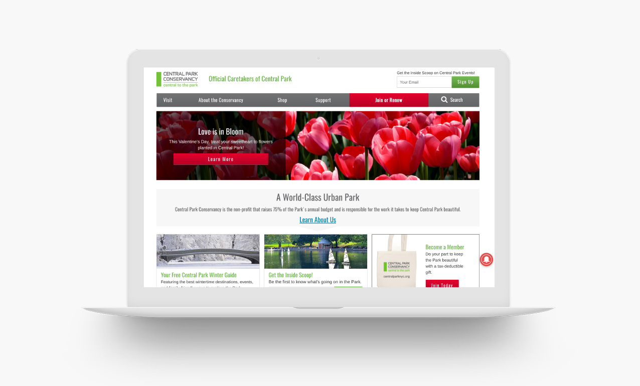 Comp_CentralParkConservency - StudioLabs